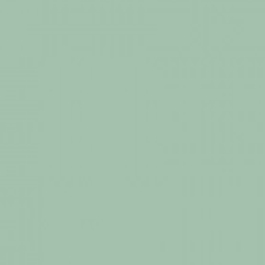 Verde oliva pálido -OP- 6193 – Micesa